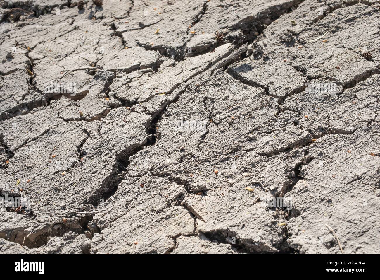 Clay soil texture background dried -Fotos und -Bildmaterial in hoher ...