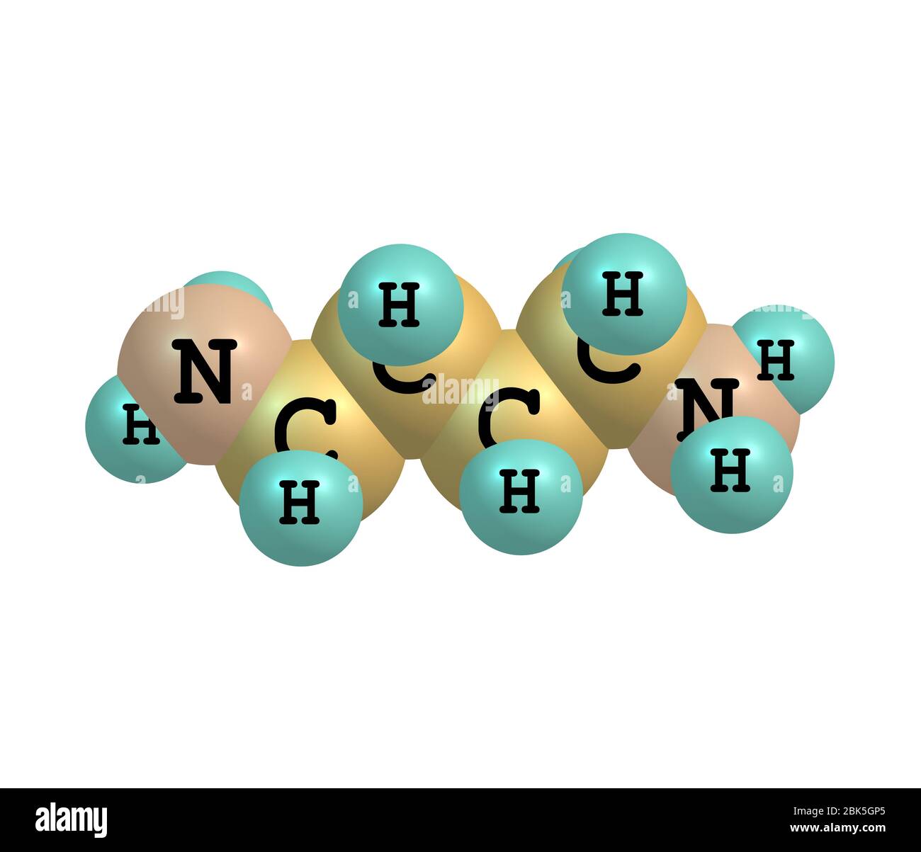 Putrescin (Tetramethylendiamin) ist eine übel riechende organische ...