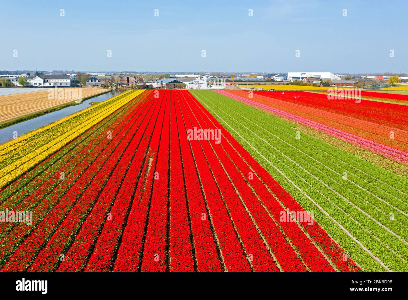 Mehrfarbige tulpenfelder -Fotos und -Bildmaterial in hoher Auflösung ...