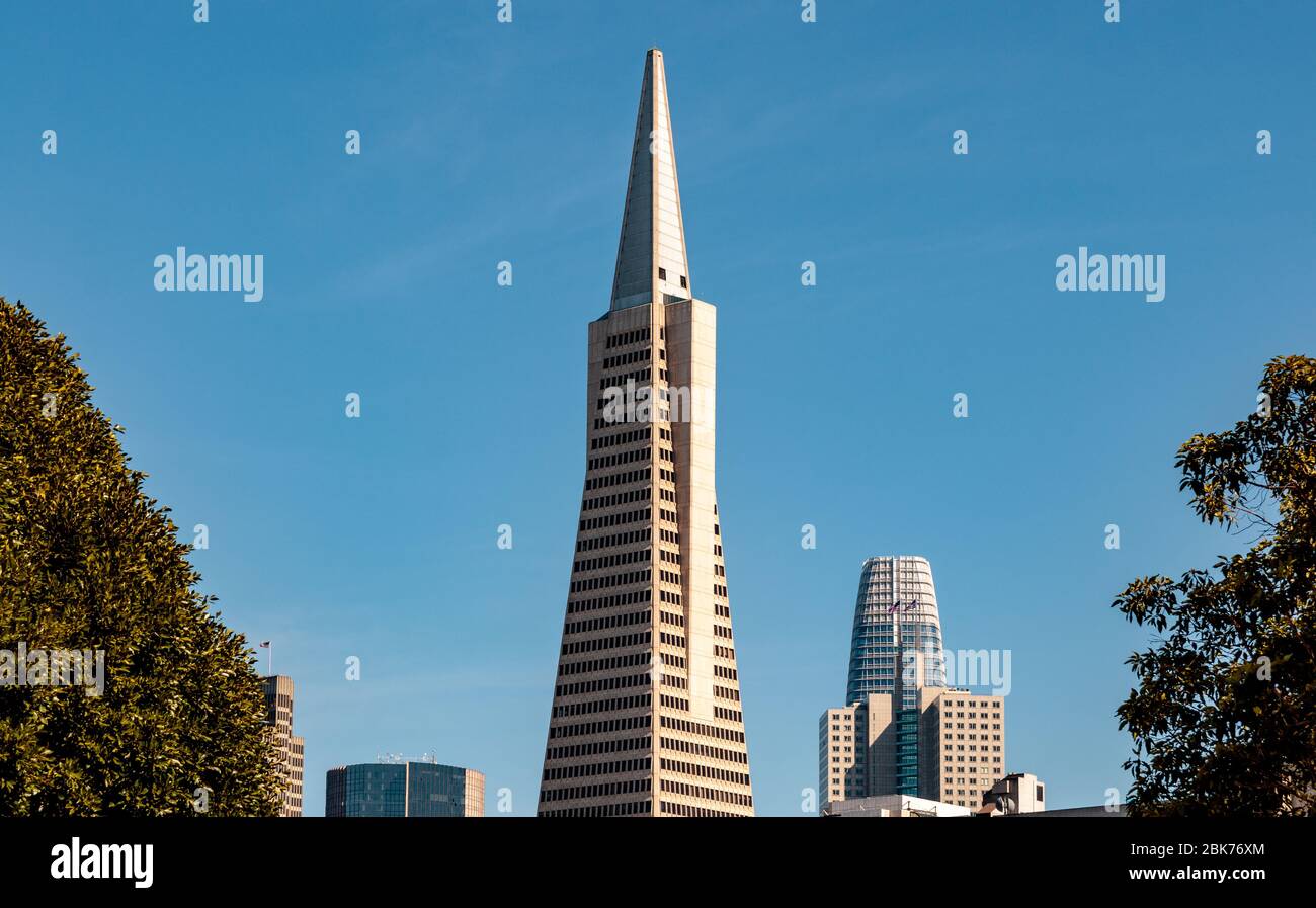 San francisco trans america pyramid -Fotos und -Bildmaterial in hoher ...