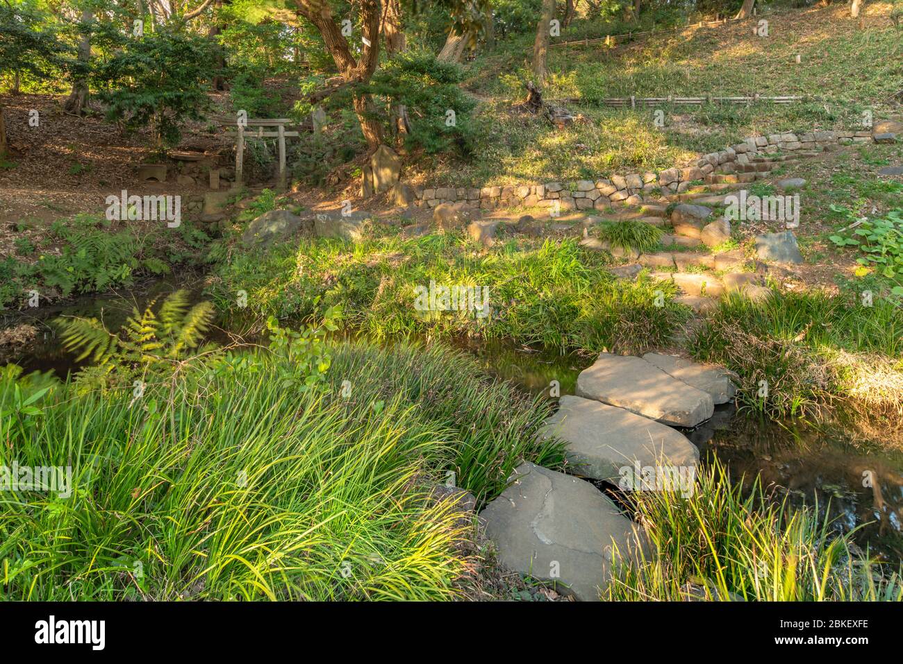 Tobi ishi trittsteine -Fotos und -Bildmaterial in hoher Auflösung – Alamy
