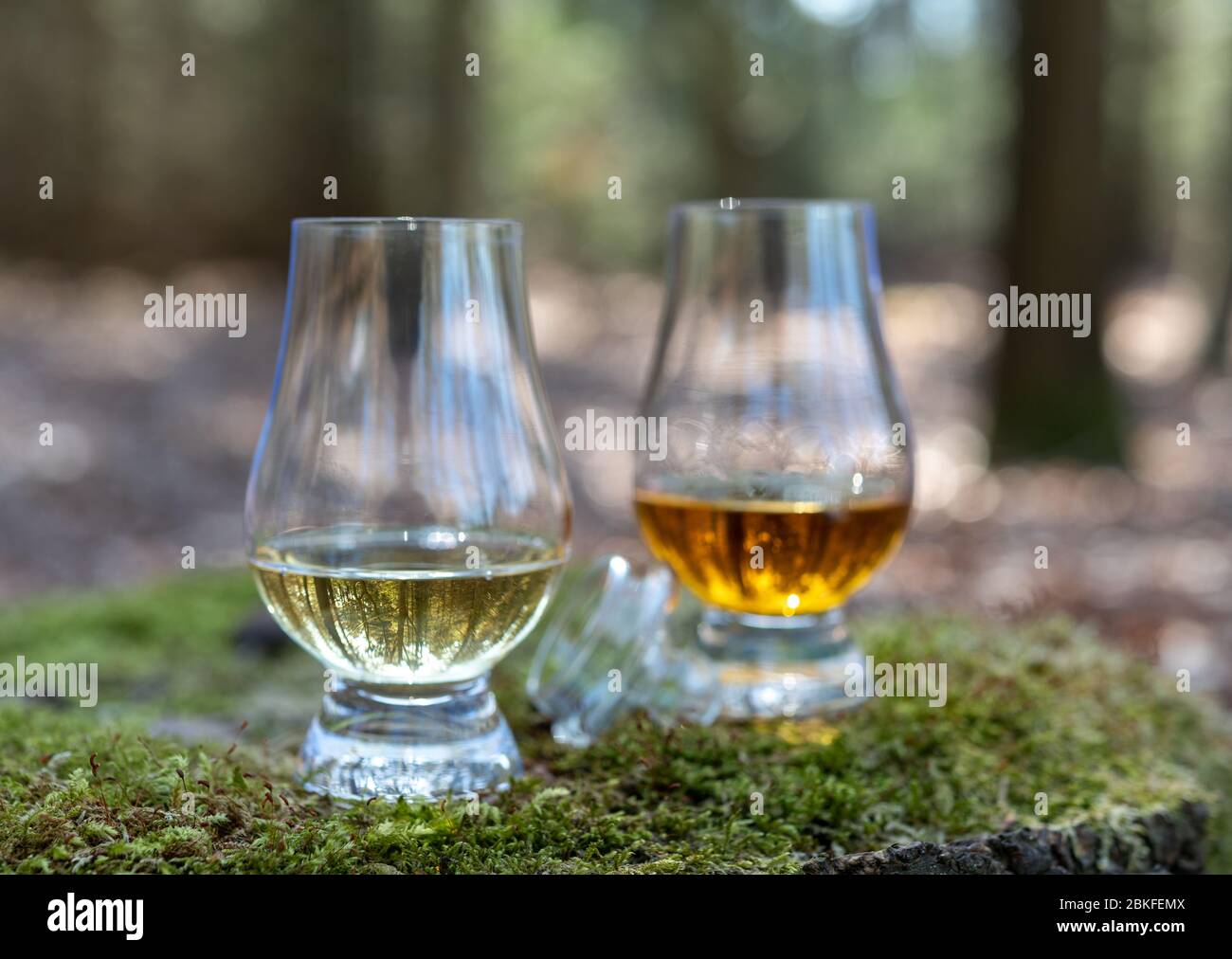 Verkostung von Scotch-Single-Malt-Whisky von der Insel Islay, am ...