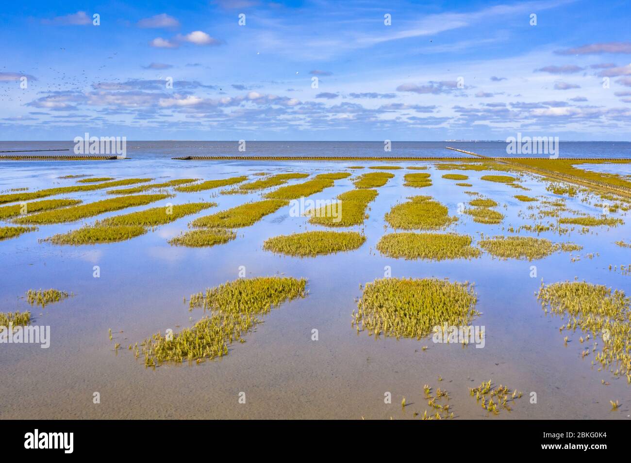 Reclaimed marshland -Fotos und -Bildmaterial in hoher Auflösung – Alamy