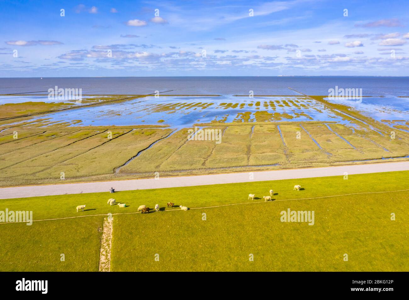 Marschland an der nordseeküste -Fotos und -Bildmaterial in hoher ...