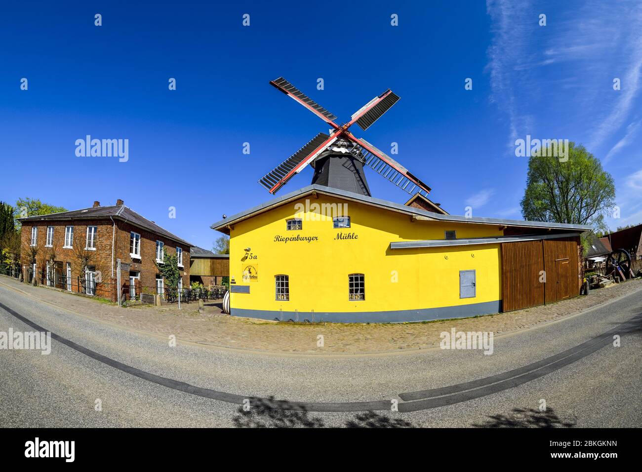 Riepe burger Stockfotos und -bilder Kaufen - Alamy