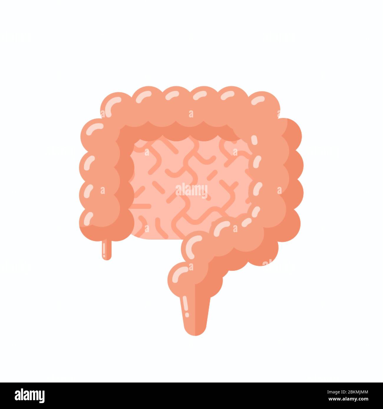 Anatomie des menschlichen Darms, flache Vektor-Illustration, Cartoon ...