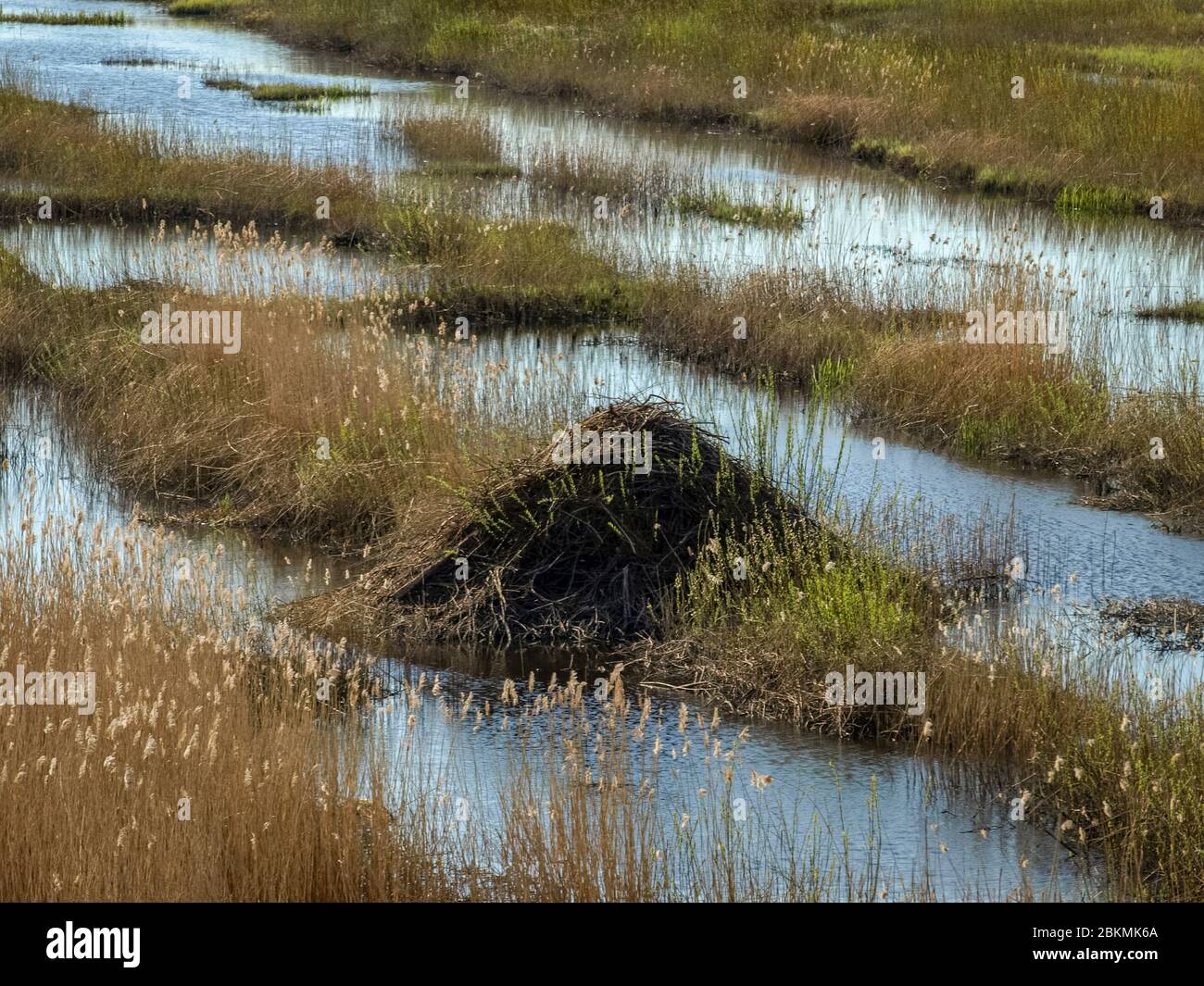 Bieber haus Stockfotos und -bilder Kaufen - Alamy