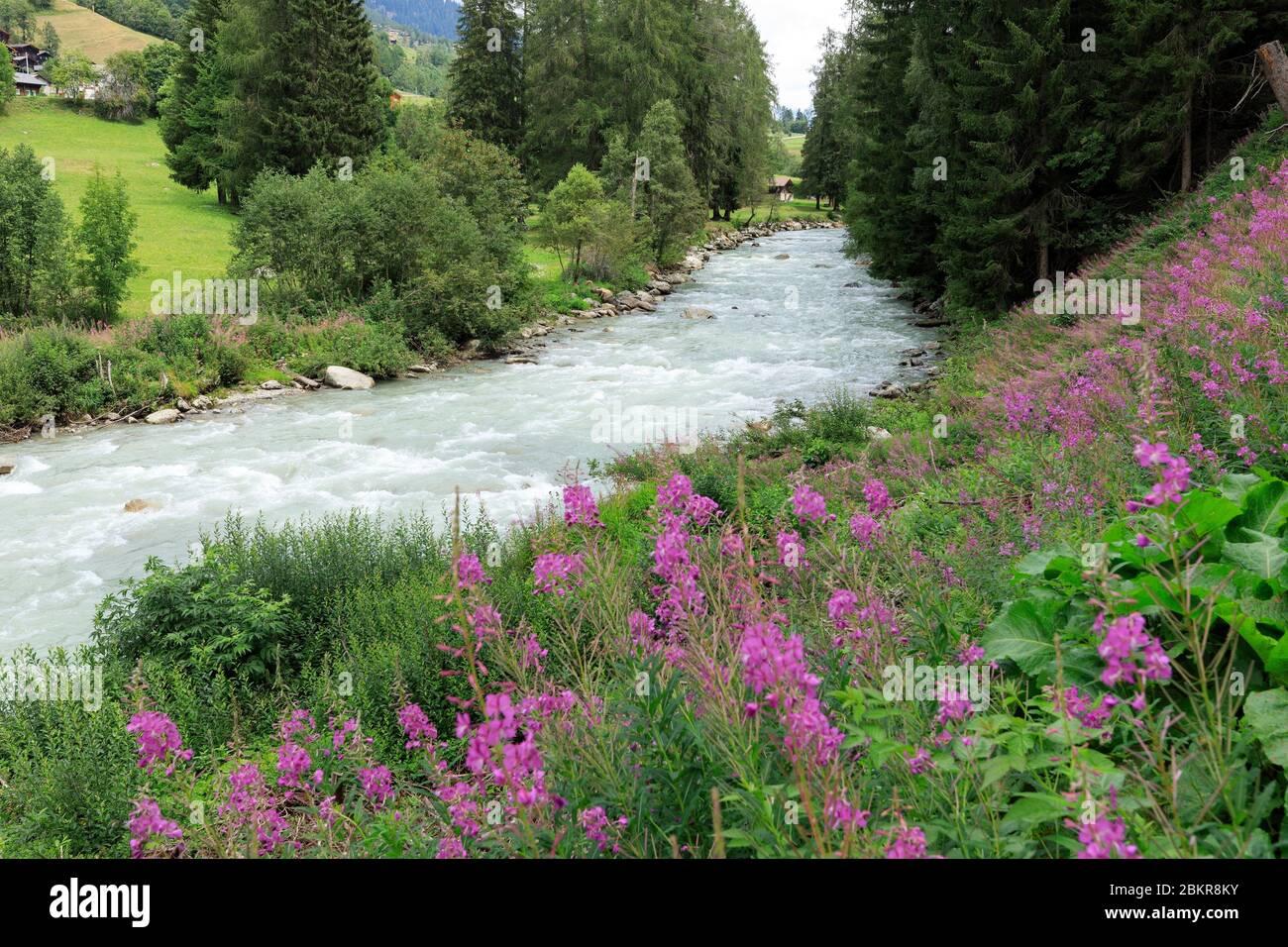 Niederwald niederwald -Fotos und -Bildmaterial in hoher Auflösung – Alamy