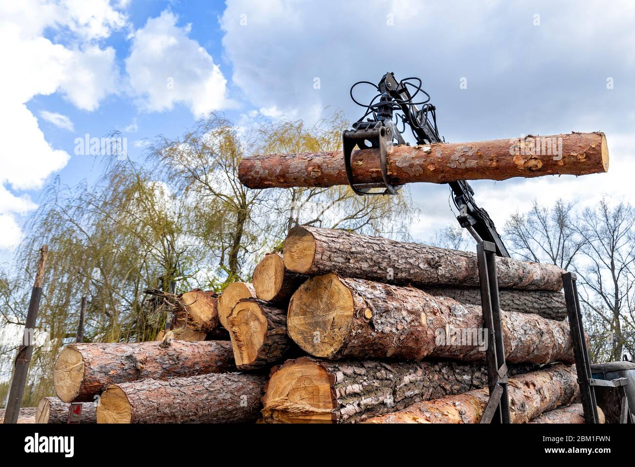 Forstwirtschaft Sibirien Stockfotos und -bilder Kaufen - Alamy