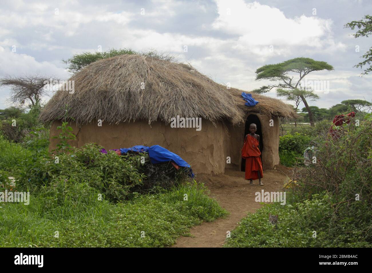 Traditionelle Maasai (Masai) Hütte ist aus der Anwendung Schlamm auf ...