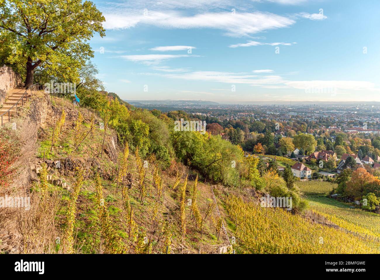 Radebeuler weinberge -Fotos und -Bildmaterial in hoher Auflösung – Alamy