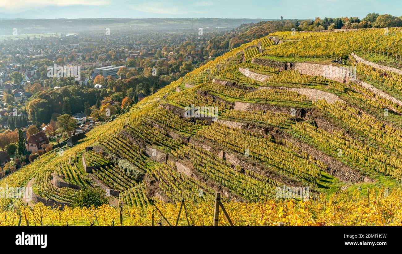 Radebeuler weinberge -Fotos und -Bildmaterial in hoher Auflösung – Alamy