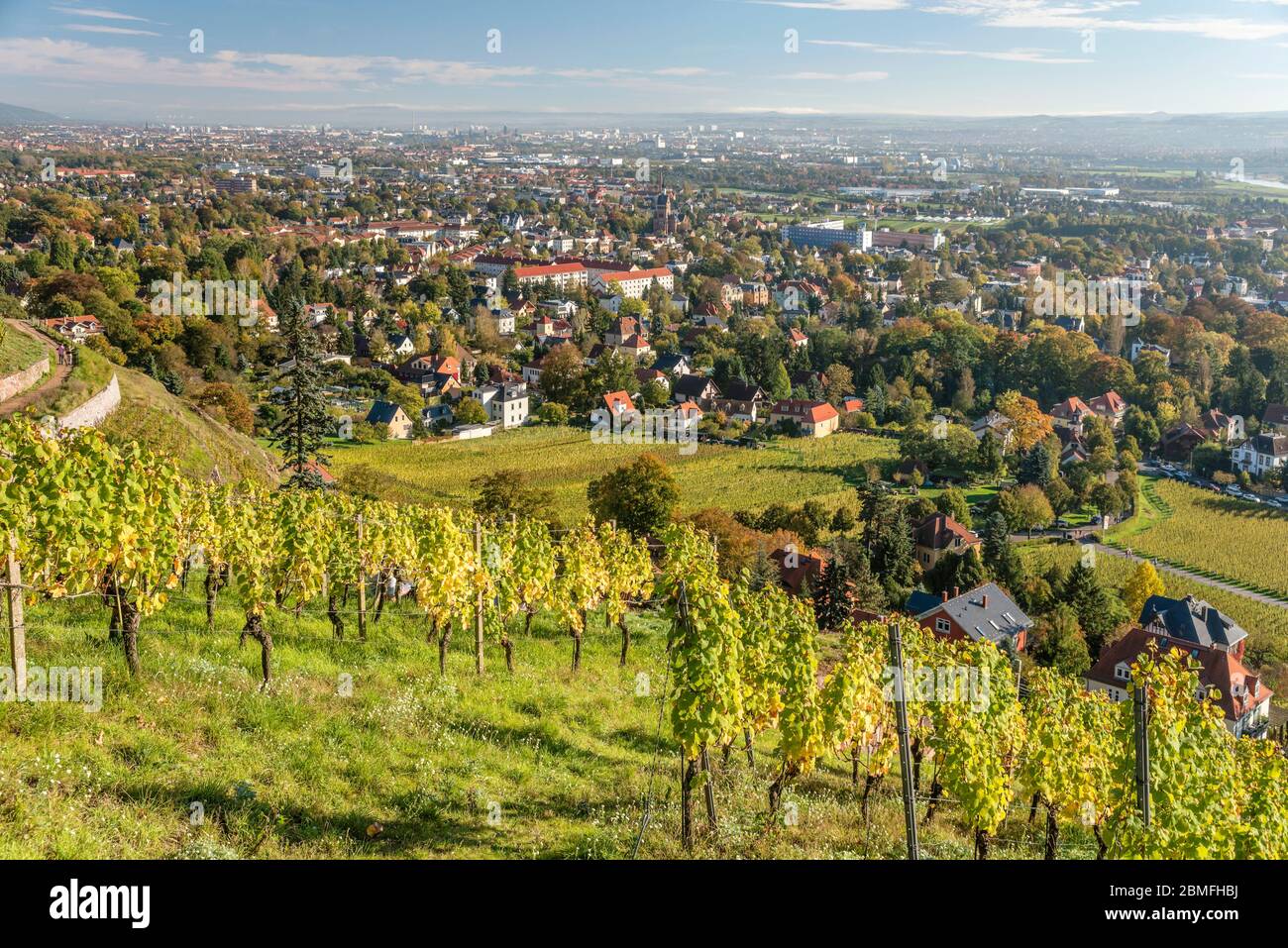 Radebeuler weinberge -Fotos und -Bildmaterial in hoher Auflösung – Alamy