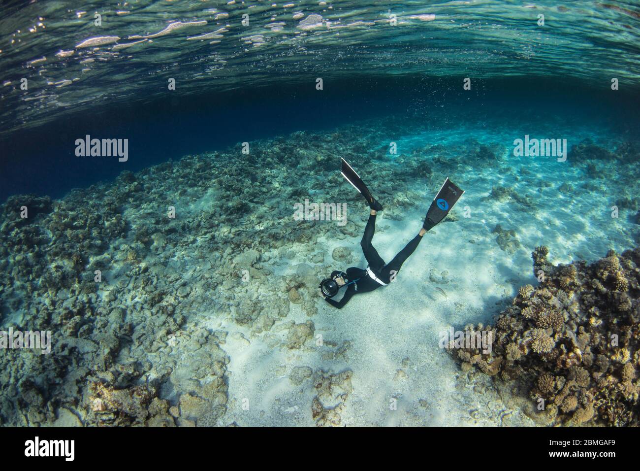 Große unterwassersichtbarkeit -Fotos und -Bildmaterial in hoher ...