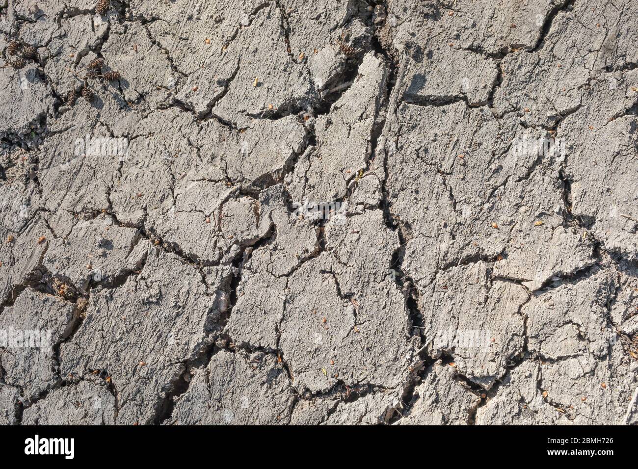 Clay soil texture background dried -Fotos und -Bildmaterial in hoher ...