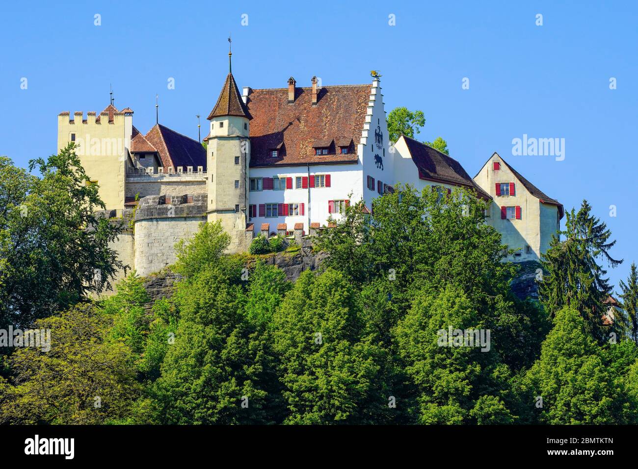 Blick auf die Burg Lenzburg oberhalb der Altstadt von Lenzburg im ...