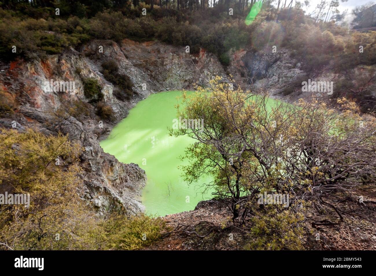 Wasserteich gelb durch Schwefel, Wai-O-Tapu, Reporoa Caldera, in der ...