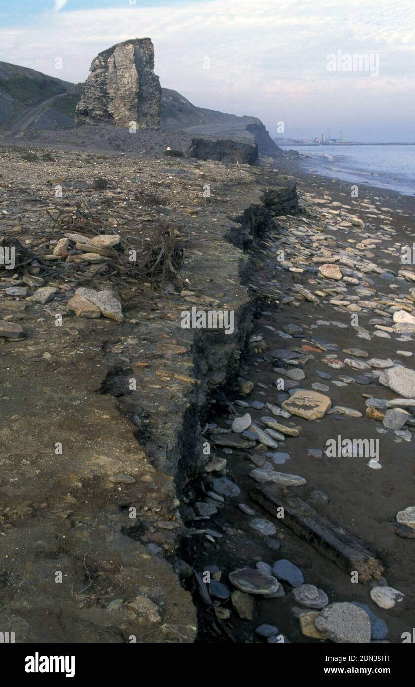 Meereserosion von Kohleabfällen am Strand unter stiller Mine Seaham Co ...