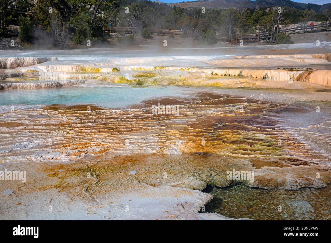 Grasbewachsene quellen -Fotos und -Bildmaterial in hoher Auflösung – Alamy