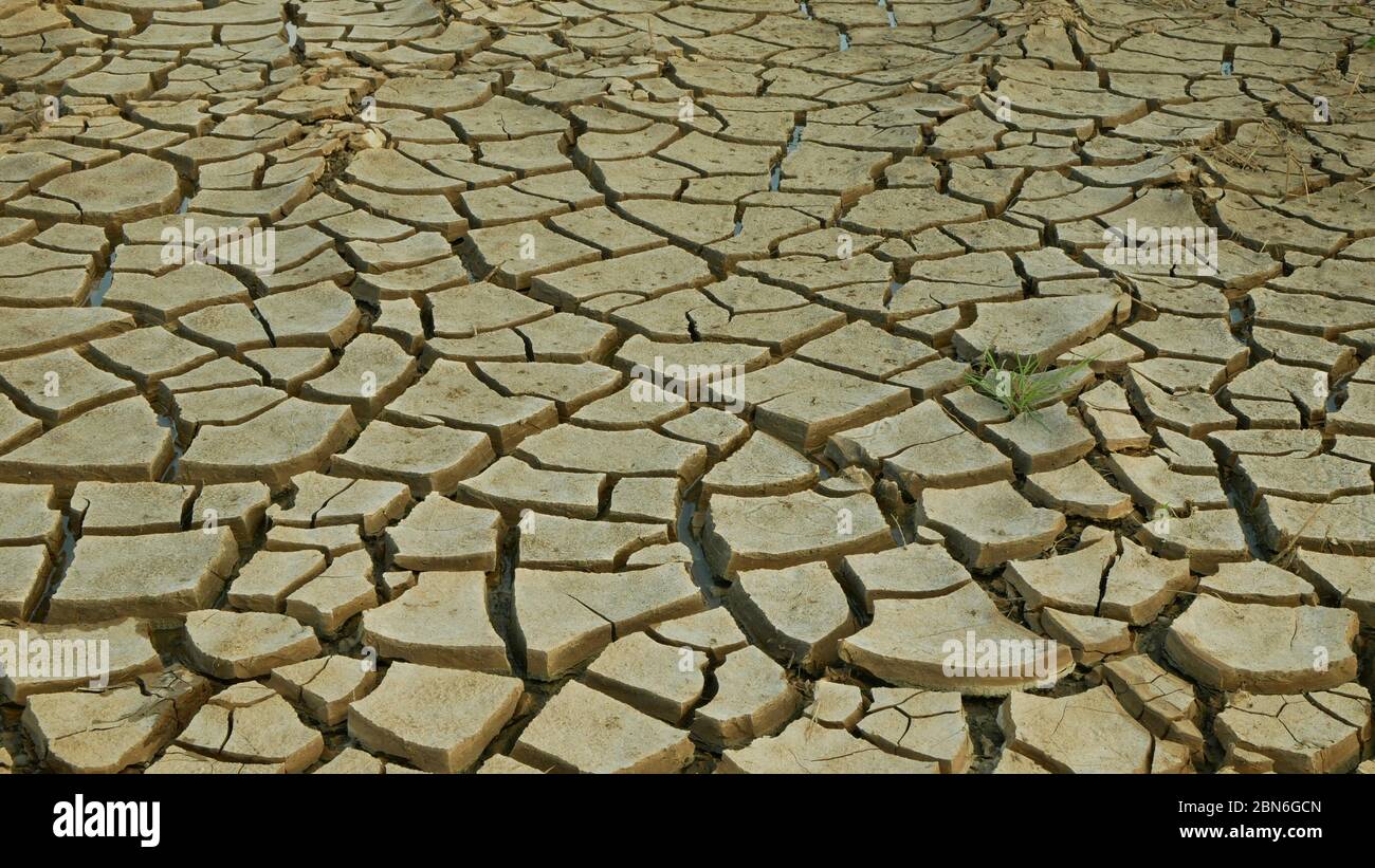 Sehr Dürre Feuchtgebiet, Sumpf und Teich trocknen den Boden rissig ...