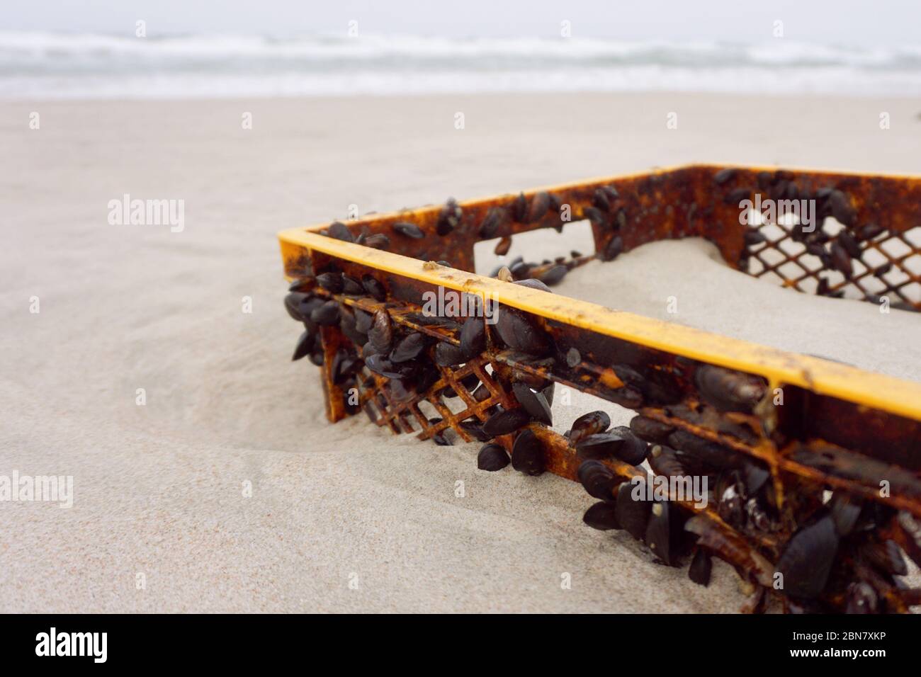 Ocean plastic pollution boat -Fotos und -Bildmaterial in hoher ...