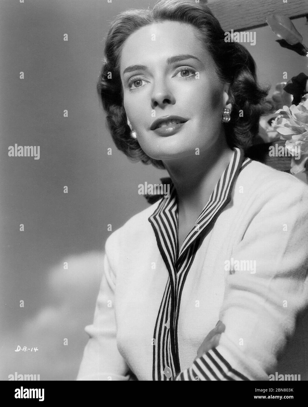 Doe avedon -Fotos und -Bildmaterial in hoher Auflösung – Alamy