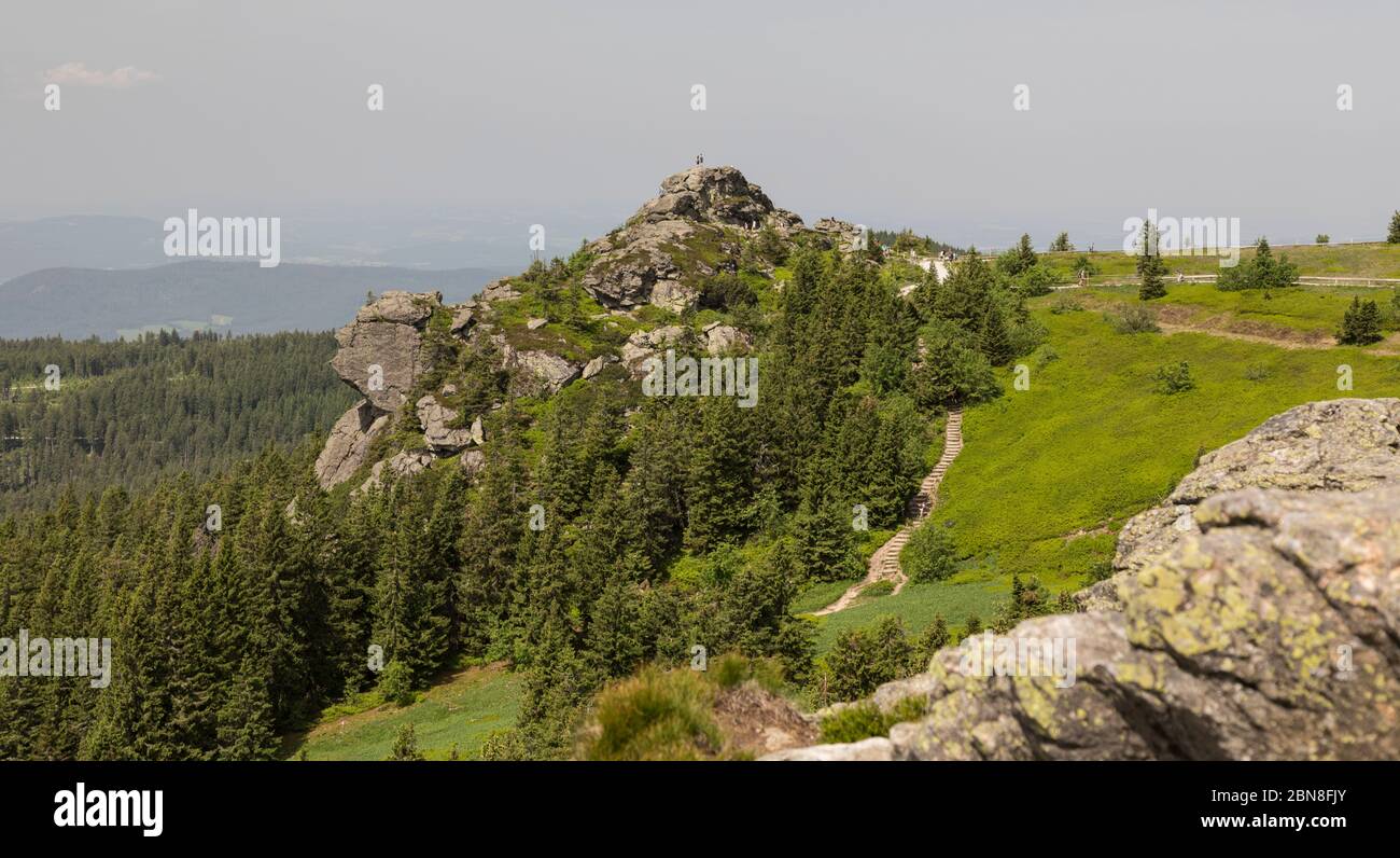 Arber sommer -Fotos und -Bildmaterial in hoher Auflösung – Alamy