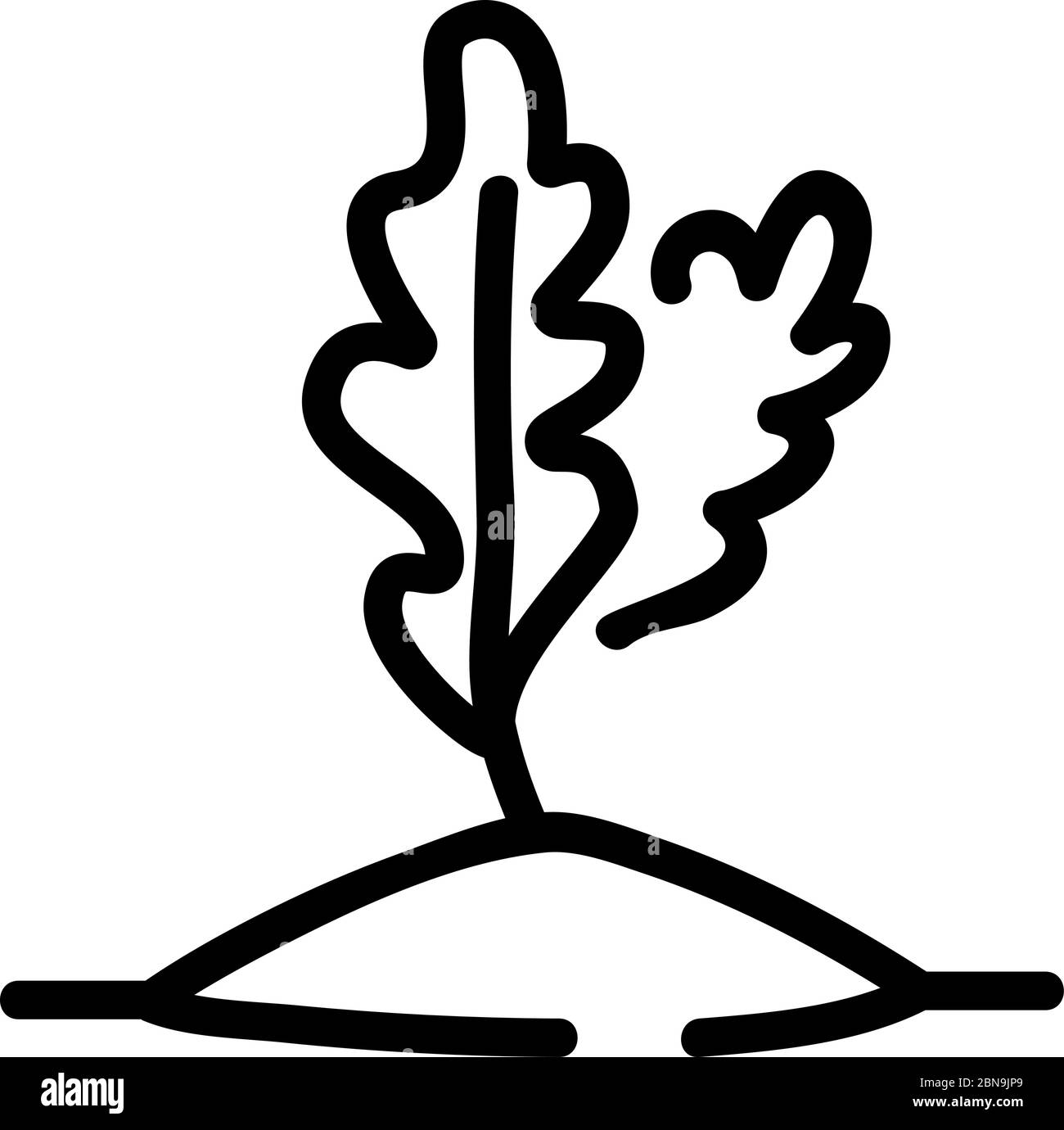 Rucola im Boden Symbol Vektor-Umriss Illustration Stock-Vektorgrafik ...