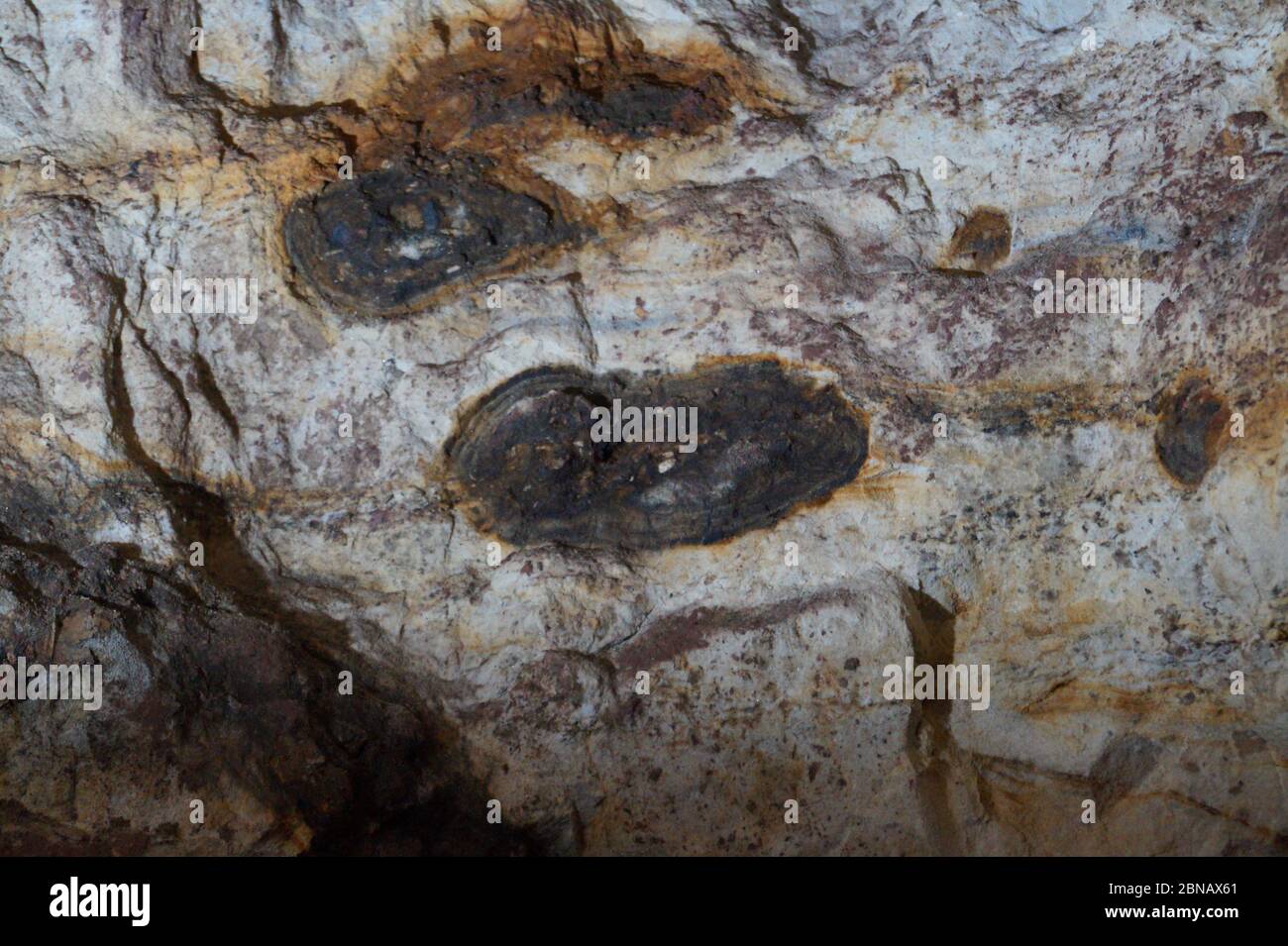 Bergbaumuseum mechernich -Fotos und -Bildmaterial in hoher Auflösung ...