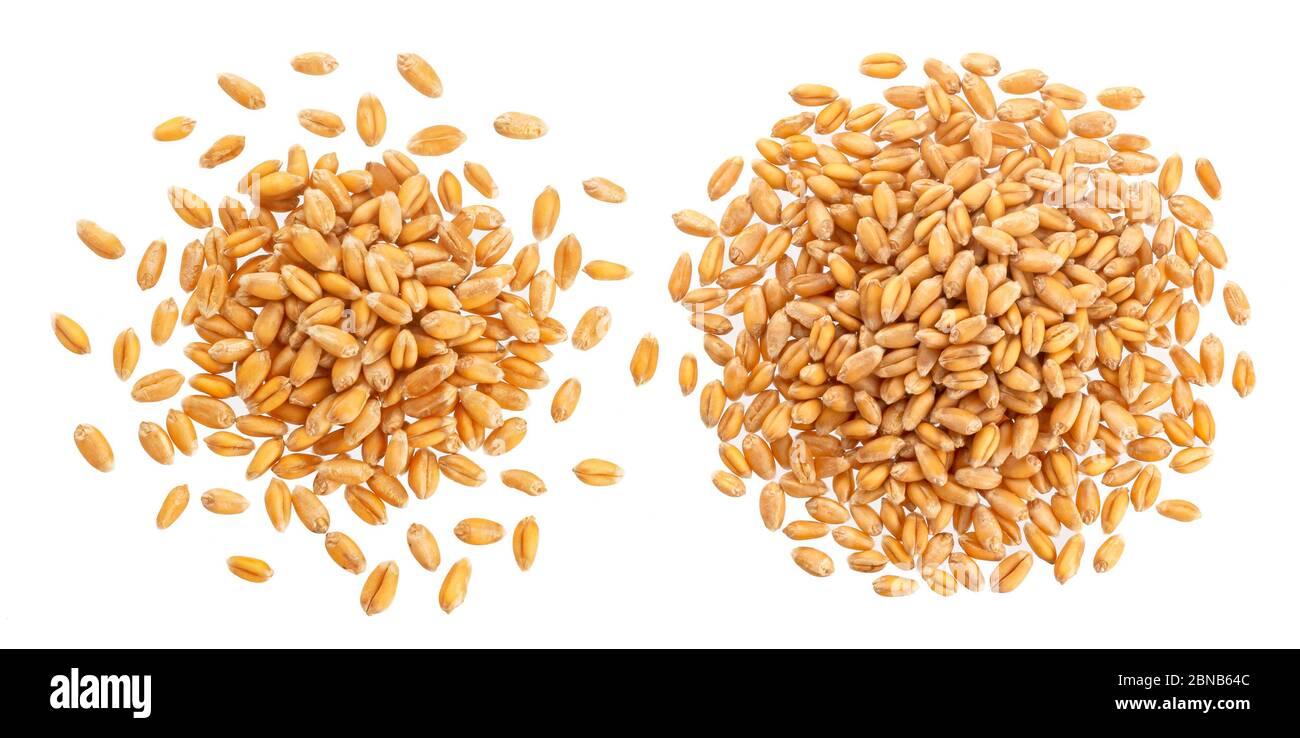 Weizen samen Ausgeschnittene Stockfotos und -bilder - Alamy
