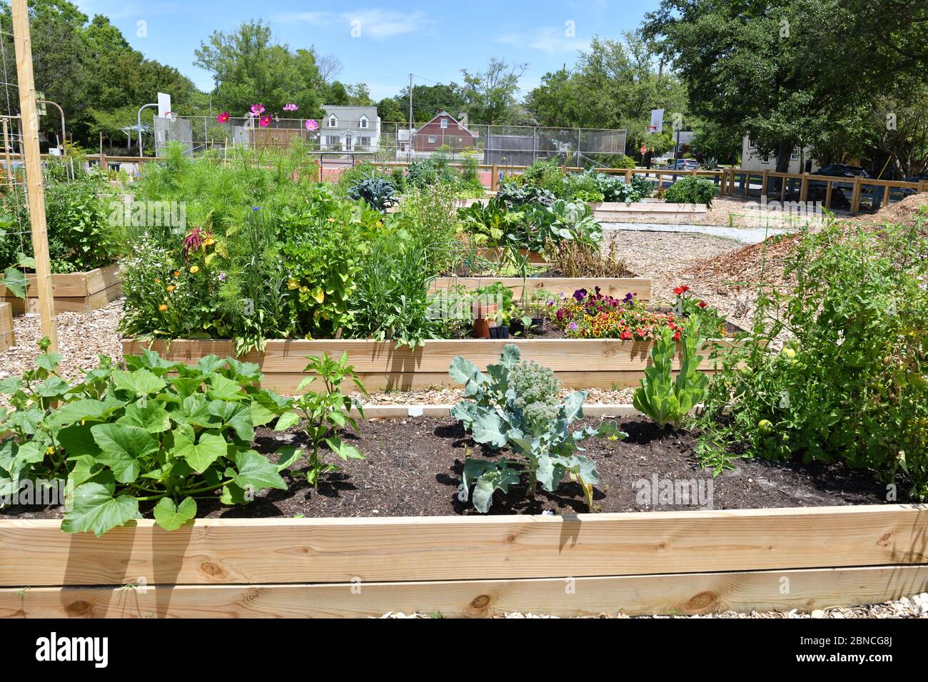 Regen Garten Regen erholen und Regen anwenden Urban Garden für die ...