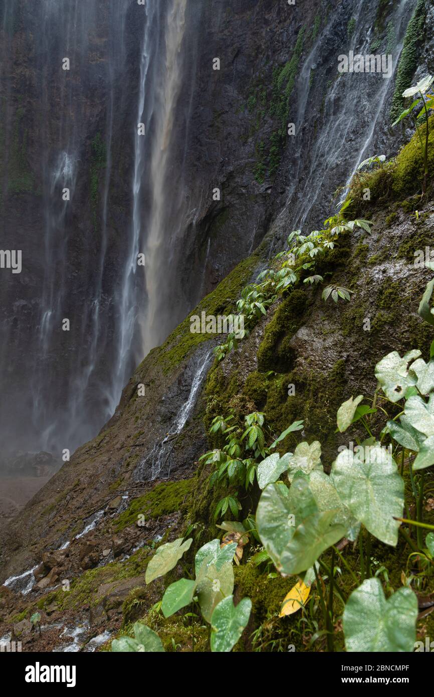 Nahaufnahme des frischen, lauten und intensiven Wassers im Tumpak Sewu ...