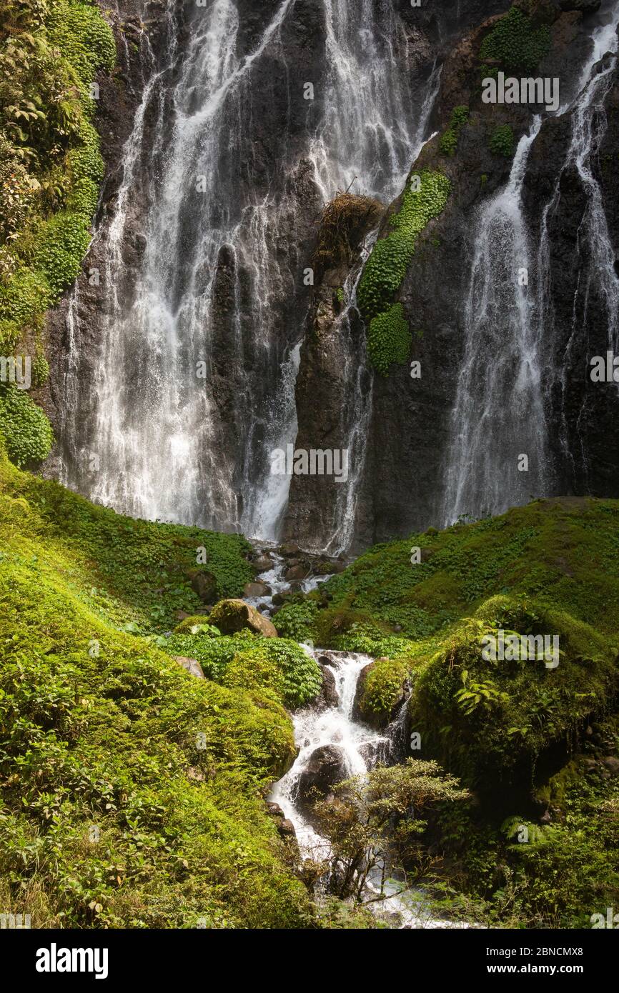 Tumpak sewu wasserfälle -Fotos und -Bildmaterial in hoher Auflösung – Alamy