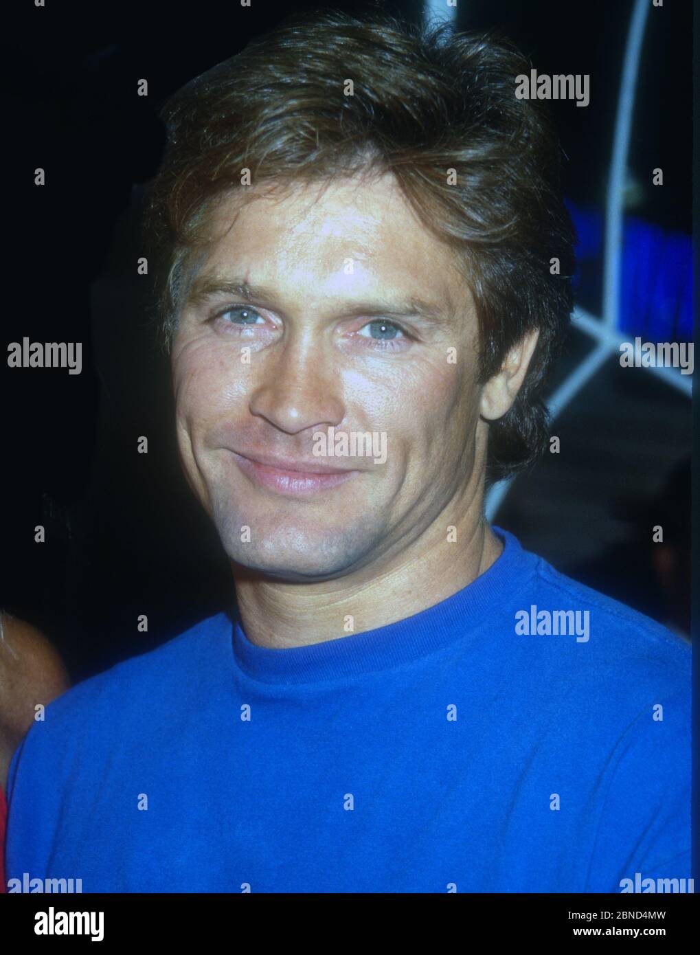 Andrew stevens -Fotos und -Bildmaterial in hoher Auflösung – Alamy