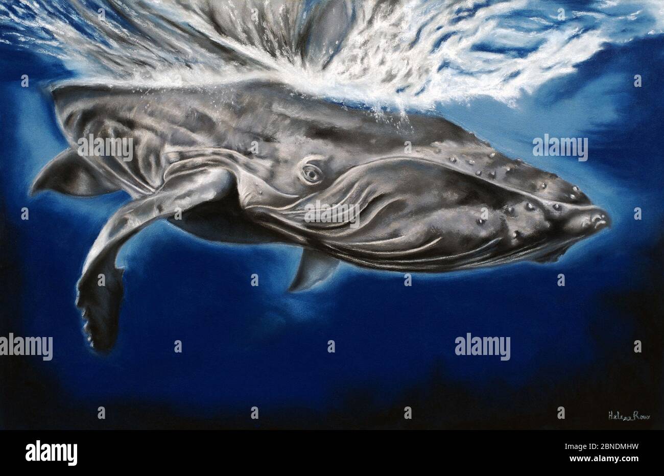 Kunst naturschutz -Fotos und -Bildmaterial in hoher Auflösung – Alamy