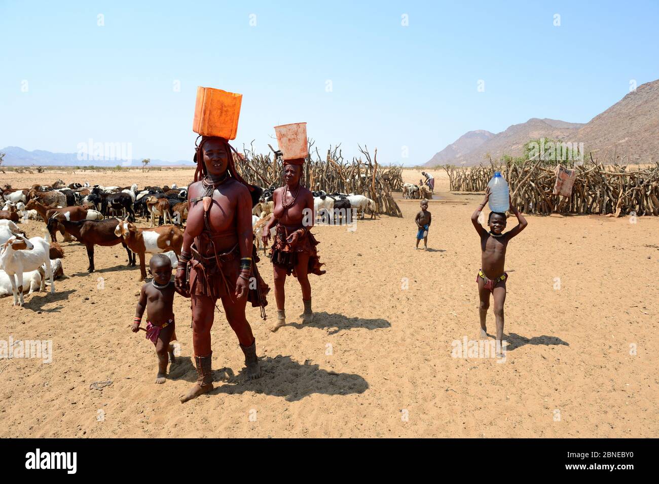 Himba Frauen und Kinder, die vom Wasserpunkt zurückkehren, tragen ...