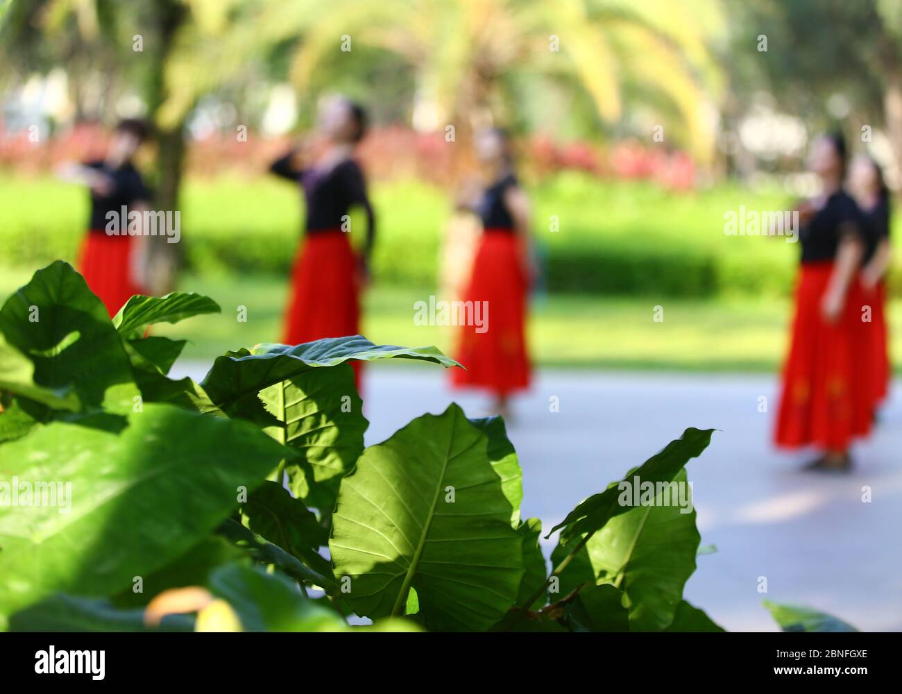 Die Bürger machen morgens Übungen am Meer, um die Gesundheit zu ...
