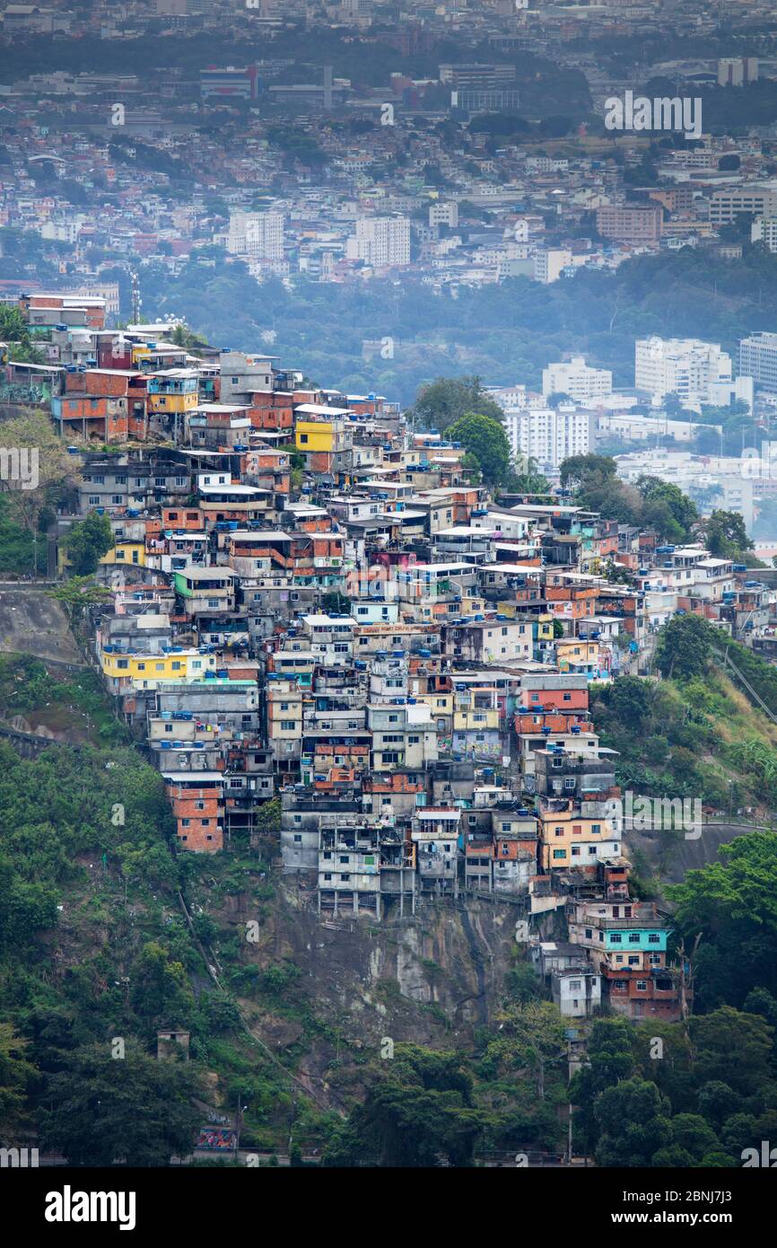 Erhöhte Ansicht eines Favela Slums am Rande des Tijuca Waldes, Rio de ...