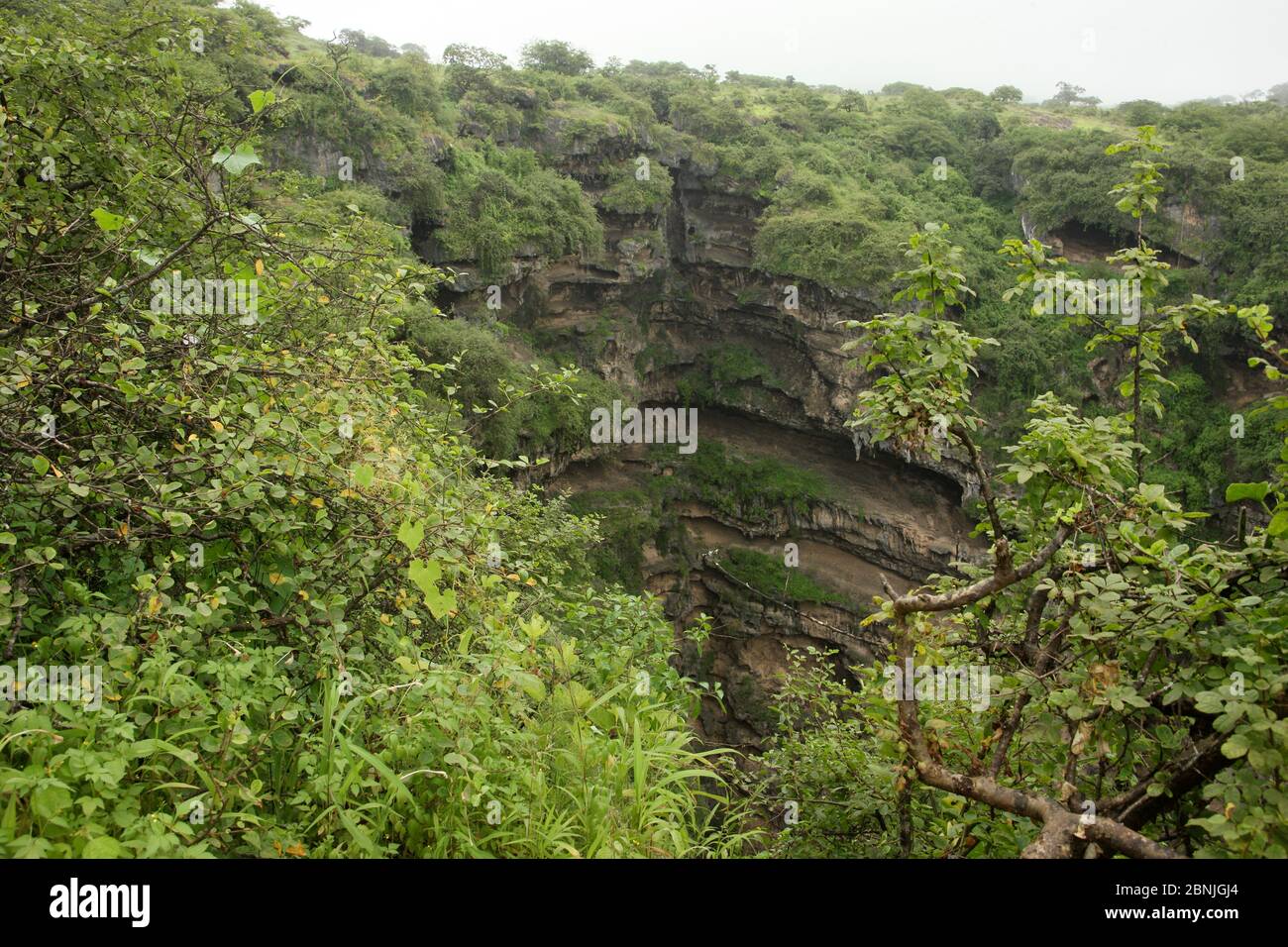 Hat ein tropisches monsunklima -Fotos und -Bildmaterial in hoher ...