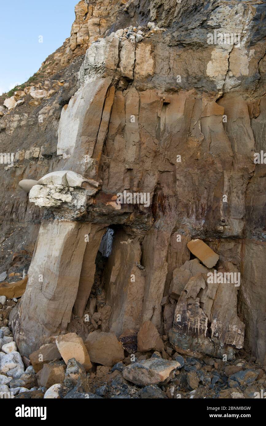 Als dunkle, feuchte flecken und braune flecken -Fotos und -Bildmaterial ...