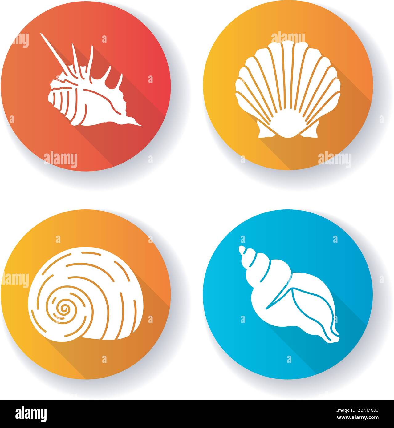 Exotische Muscheln flaches Design lange Schatten Glyphen Symbole ...