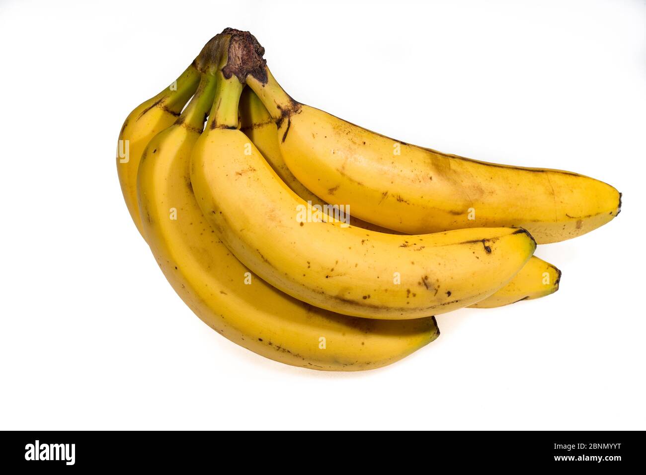 Cultivos bananos -Fotos und -Bildmaterial in hoher Auflösung – Alamy