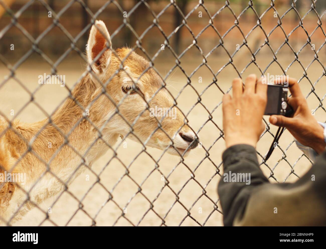 Kind, das ein Baby im Käfig im Lahore Zoo, Punjab, Pakistan ...