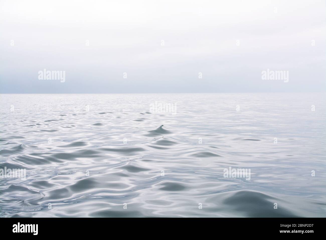 Leichte wellen auf offener see -Fotos und -Bildmaterial in hoher ...