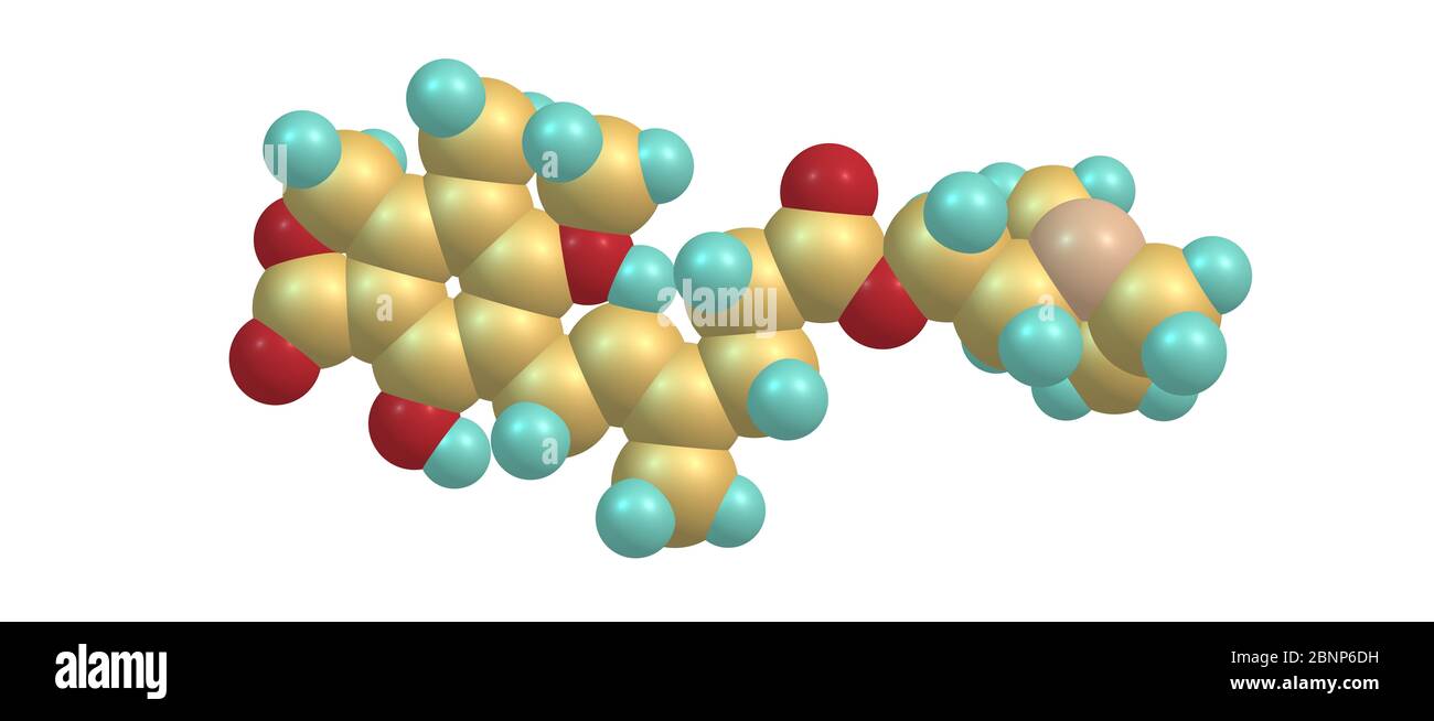 Mycophenolsäure oder Mycophenolat ist ein immunsuppressives Medikament ...