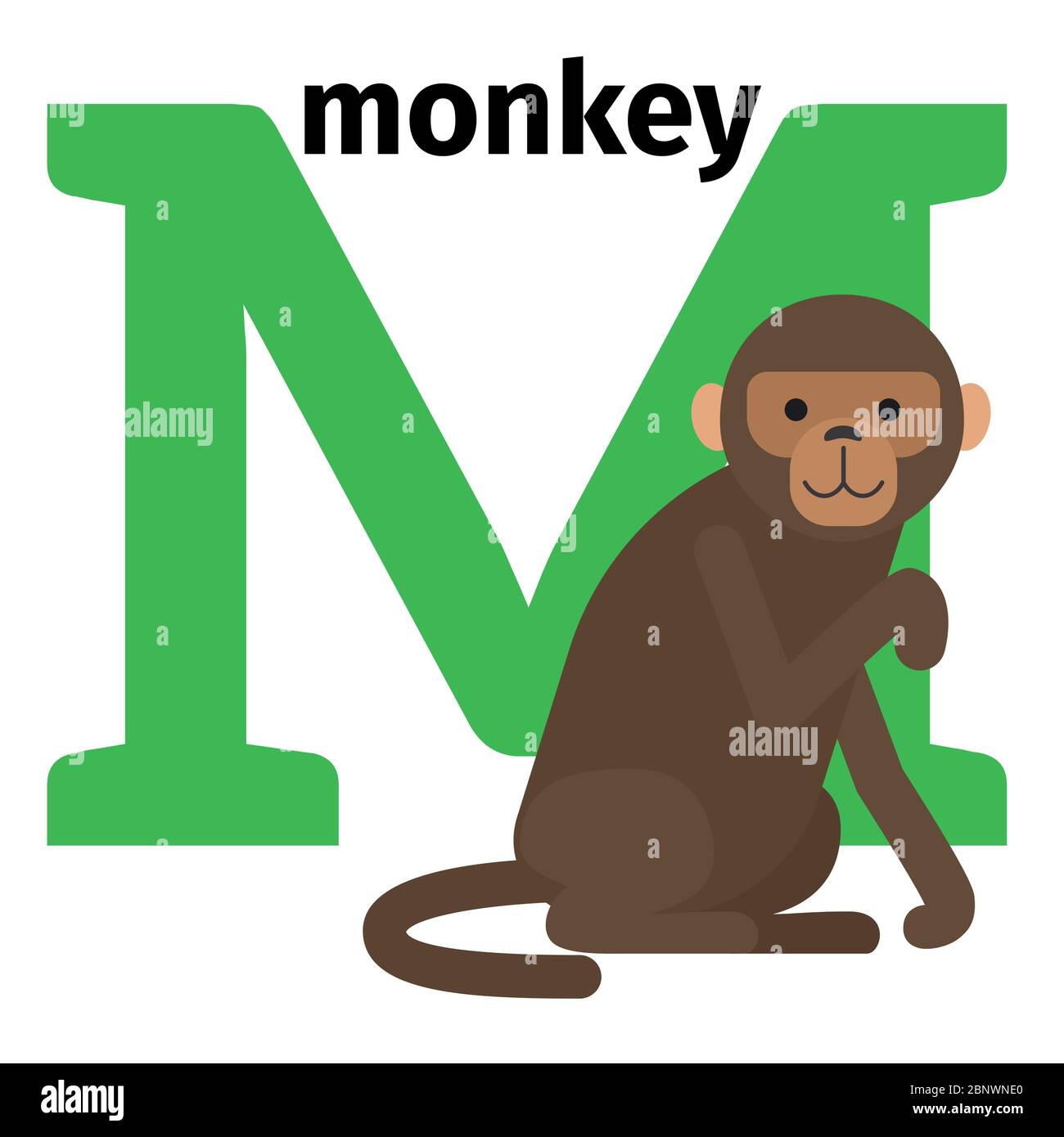 Englische Tiere Zoo Alphabet mit Buchstaben M. Monkey Vektor ...