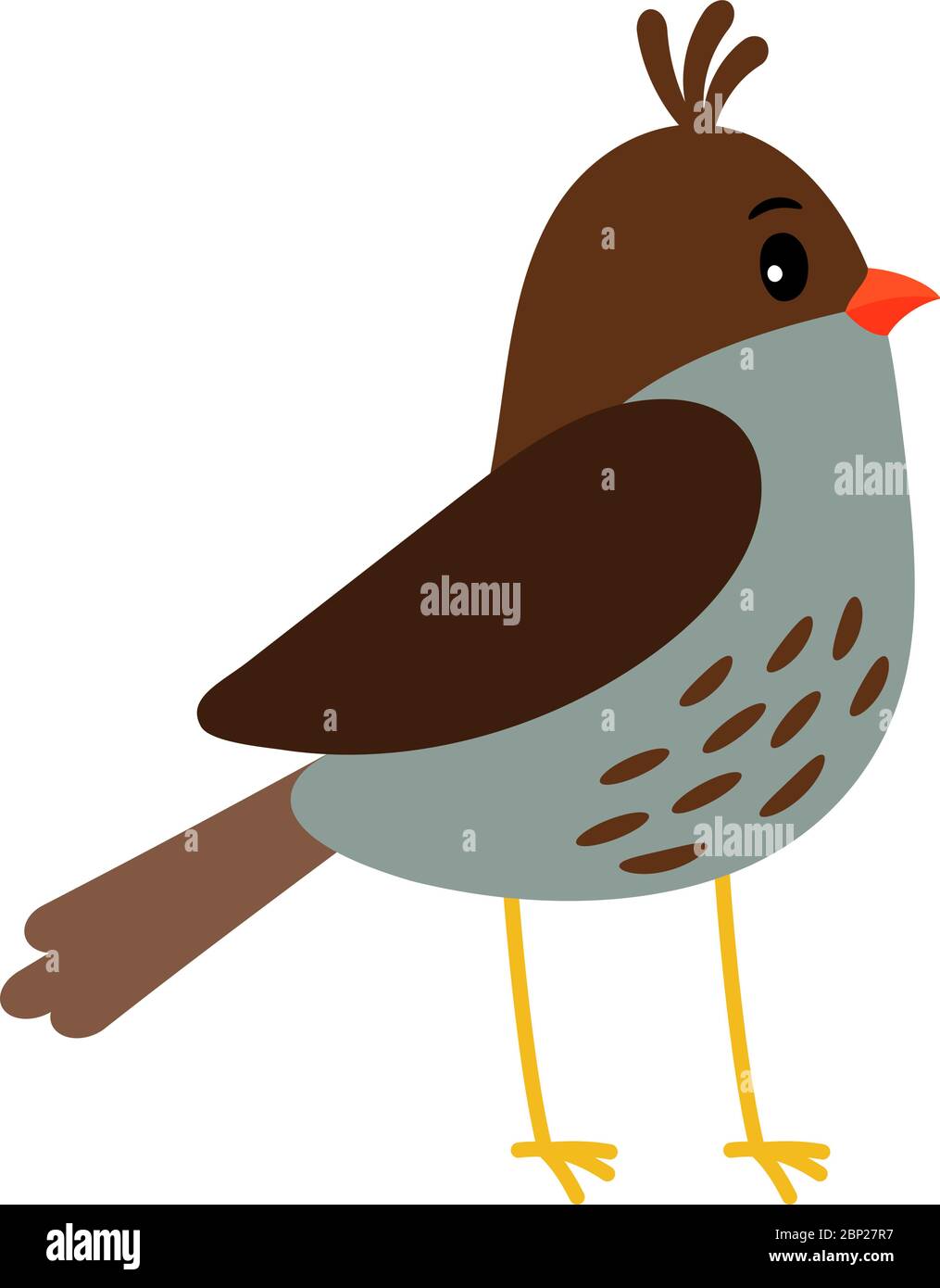 Spatz wie finken Stock-Vektorgrafiken kaufen - Alamy