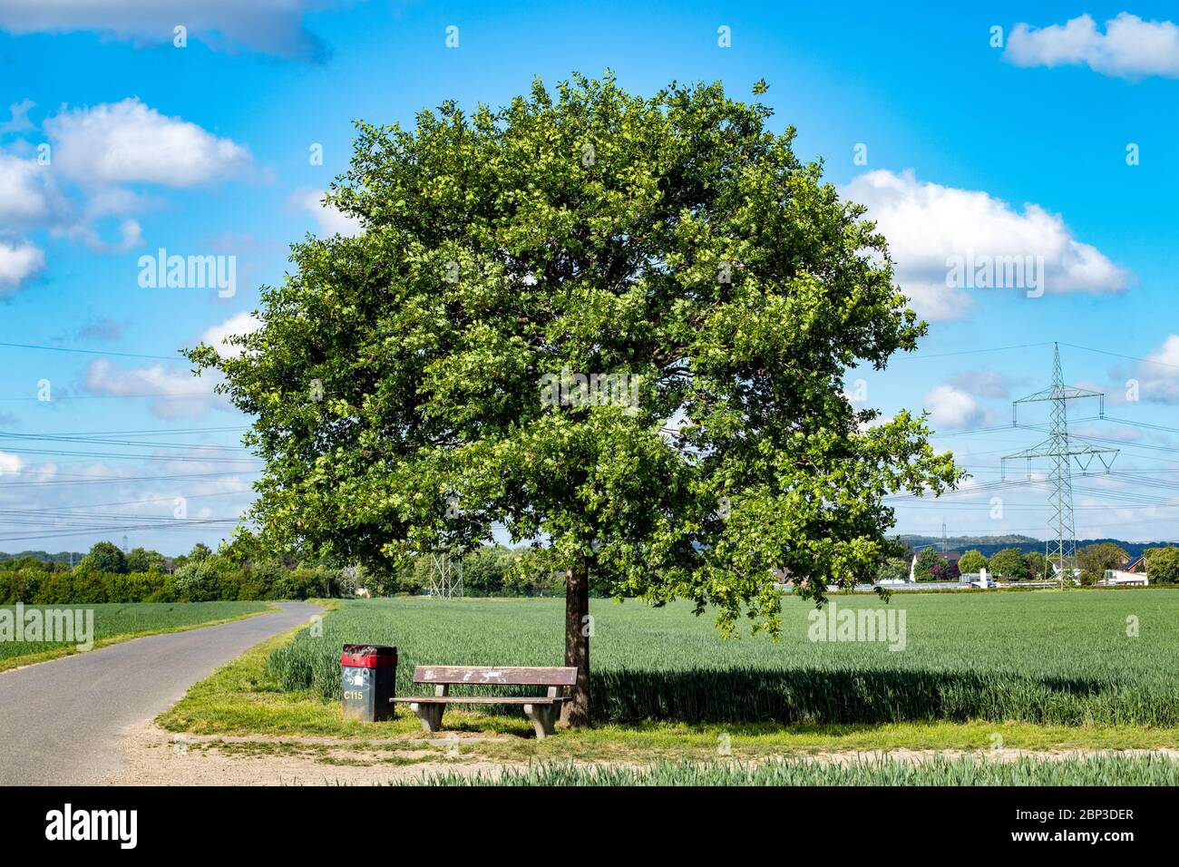 Bank baum sommer bank baum -Fotos und -Bildmaterial in hoher Auflösung ...