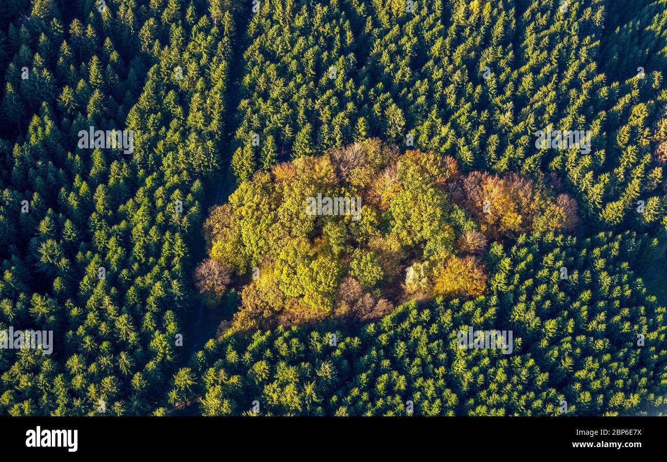 Farben vermischt -Fotos und -Bildmaterial in hoher Auflösung – Alamy