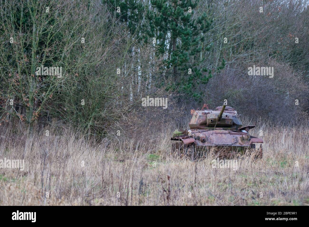 Panzer im wald tarnung -Fotos und -Bildmaterial in hoher Auflösung – Alamy